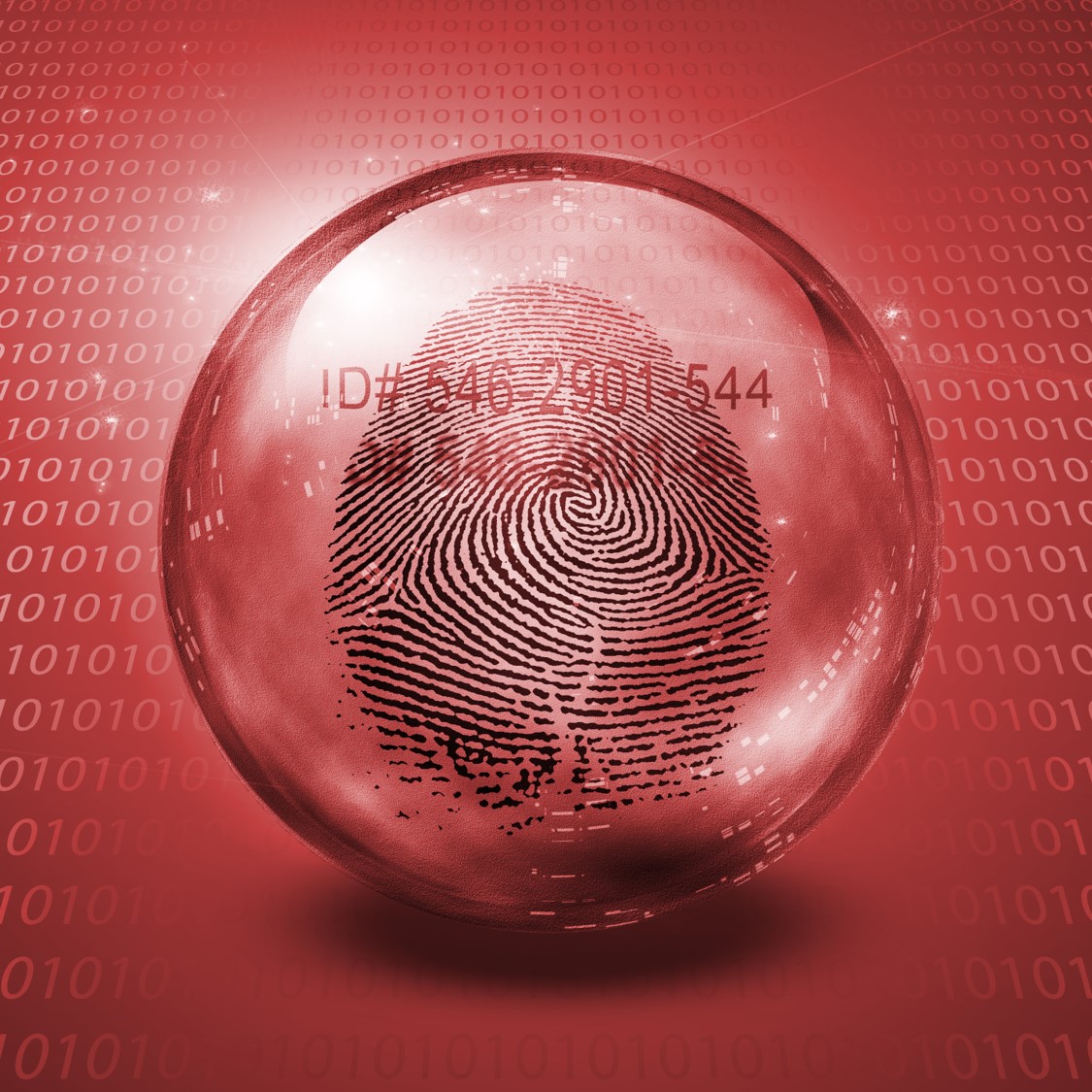 Fingerprint Identification Gulukeep